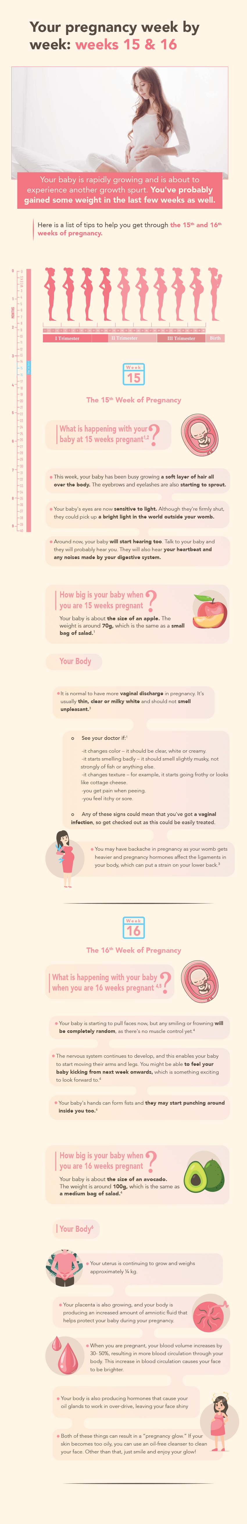 Pregnancy Week 15 & 16 | Wyeth Nutrition Parenting Community